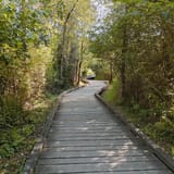Mercer Slough Nature Park, Washington - 890 Reviews, Map | AllTrails