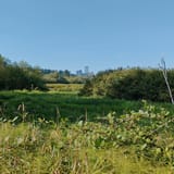 Mercer Slough Nature Park, Washington - 890 Reviews, Map | AllTrails