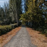 Mercer Slough Nature Park, Washington - 890 Reviews, Map | AllTrails