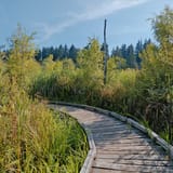Mercer Slough Nature Park, Washington - 890 Reviews, Map | AllTrails