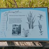 Mercer Slough Nature Park, Washington - 890 Reviews, Map | AllTrails