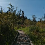 Mercer Slough Nature Park, Washington - 909 Reviews, Map | AllTrails