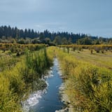 Mercer Slough Nature Park, Washington - 909 Reviews, Map | AllTrails