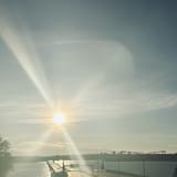 WA 520 Trail, Washington - 717 Reviews, Map | AllTrails