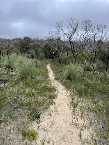 Best Forest Trails in Waitpinga | AllTrails