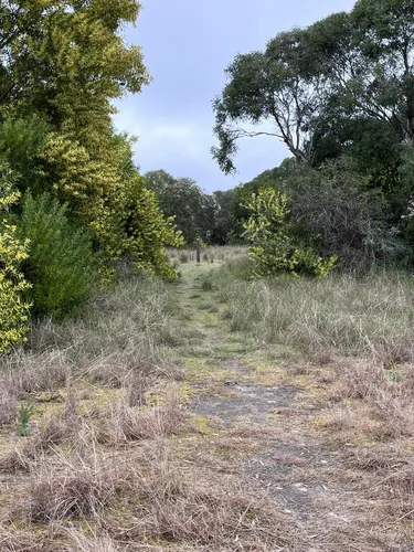 Best Forest Trails in Waitpinga | AllTrails