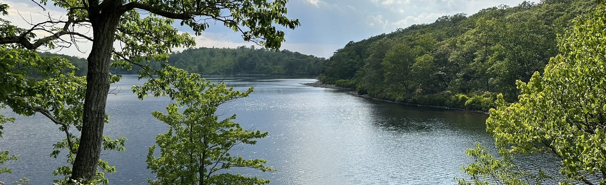 Sunfish Pond Loop via Rockcores and Garvey Springs Trails: 2.251 fotos ...