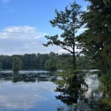 Greenfield Lake Park Trail, North Carolina - 620 Reviews, Map | AllTrails
