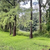 Greenfield Lake Park Trail, North Carolina - 620 Reviews, Map | AllTrails