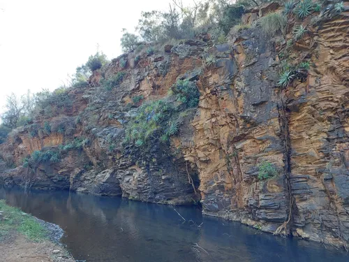 Best Hikes and Trails in B'sorah Trails | AllTrails