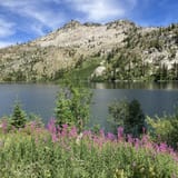 Box Lake Trail, Idaho - 267 Reviews, Map | AllTrails