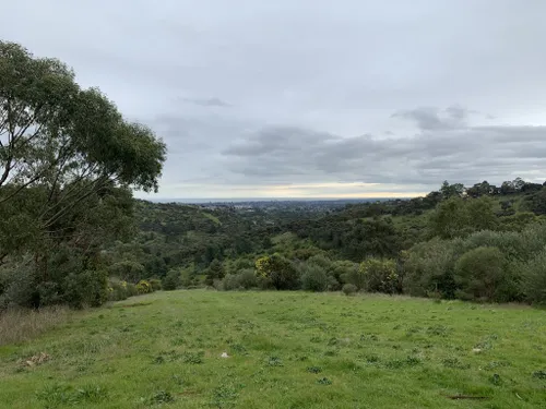 2023 Best 10 Forest Trails in Adelaide | AllTrails