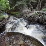 Disappointment Falls via Lady Moon Trail, Colorado - 677 Reviews, Map ...