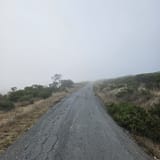 Nimitz Way, California - 1,646 Reviews, Map | AllTrails