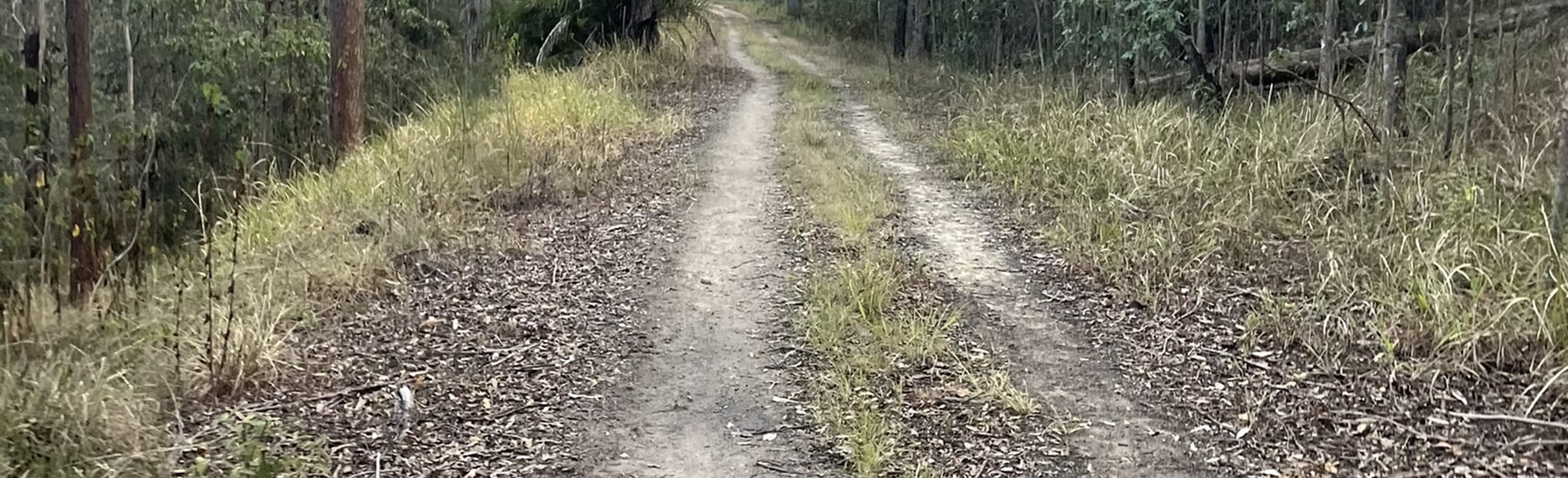 Bracalba Running Trail 3 Loop: 50 foto's - Queensland, Australië ...