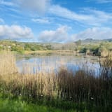 Majik Forest Walking Trail, Western Cape, South Africa - 189 Reviews ...