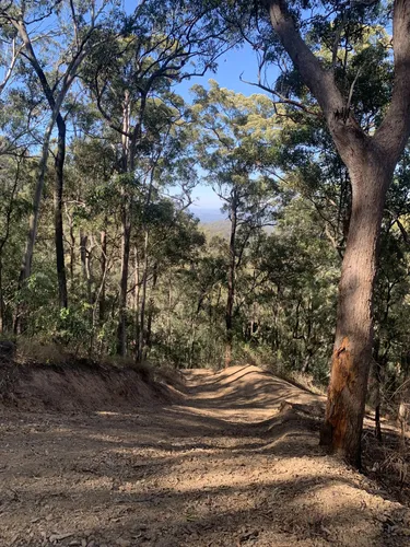 2023 Best Lake Trails in Kholo | AllTrails