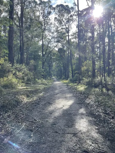 2023 Best Camping Trails in Bunyip State Park | AllTrails