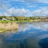 Majik Forest Walking Trail, Western Cape, South Africa - 189 Reviews ...