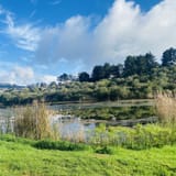 Majik Forest Walking Trail, Western Cape, South Africa - 189 Reviews ...