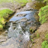 Majik Forest Walking Trail, Western Cape, South Africa - 189 Reviews ...
