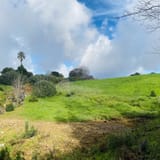 Majik Forest Walking Trail, Western Cape, South Africa - 189 Reviews ...