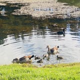Majik Forest Walking Trail, Western Cape, South Africa - 189 Reviews ...