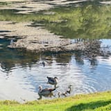 Majik Forest Walking Trail, Western Cape, South Africa - 189 Reviews ...