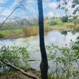 Majik Forest Walking Trail, Western Cape, South Africa - 189 Reviews ...