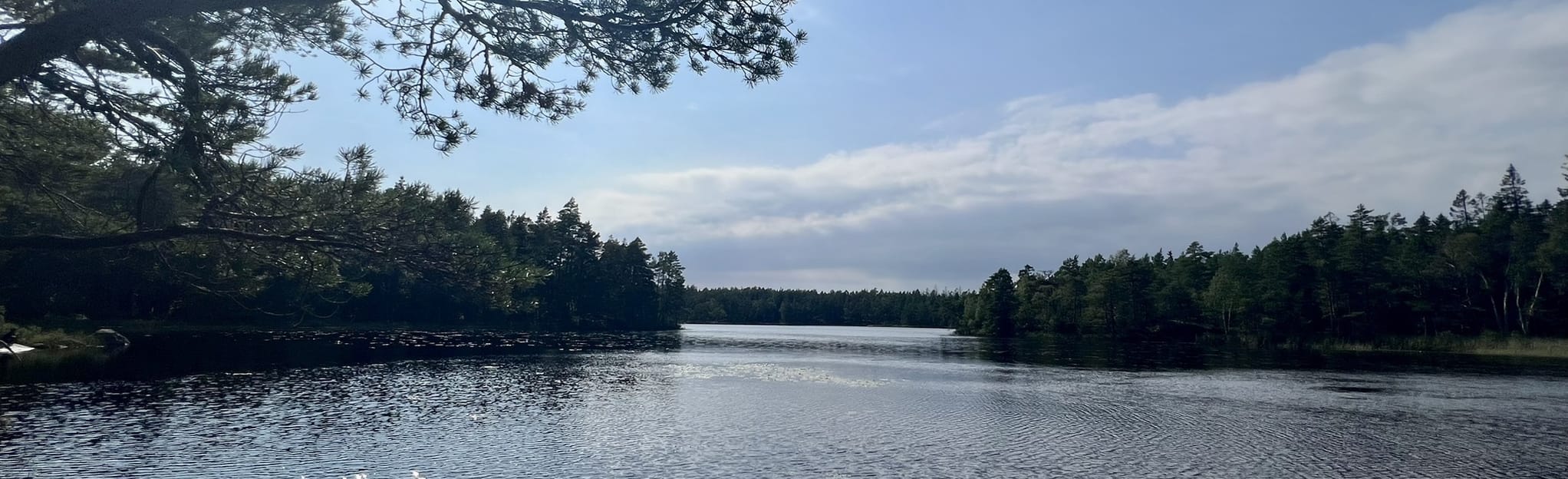 Trehörningen – Tornberget Loop, Stockholm, Sweden - 14 Reviews, Map ...