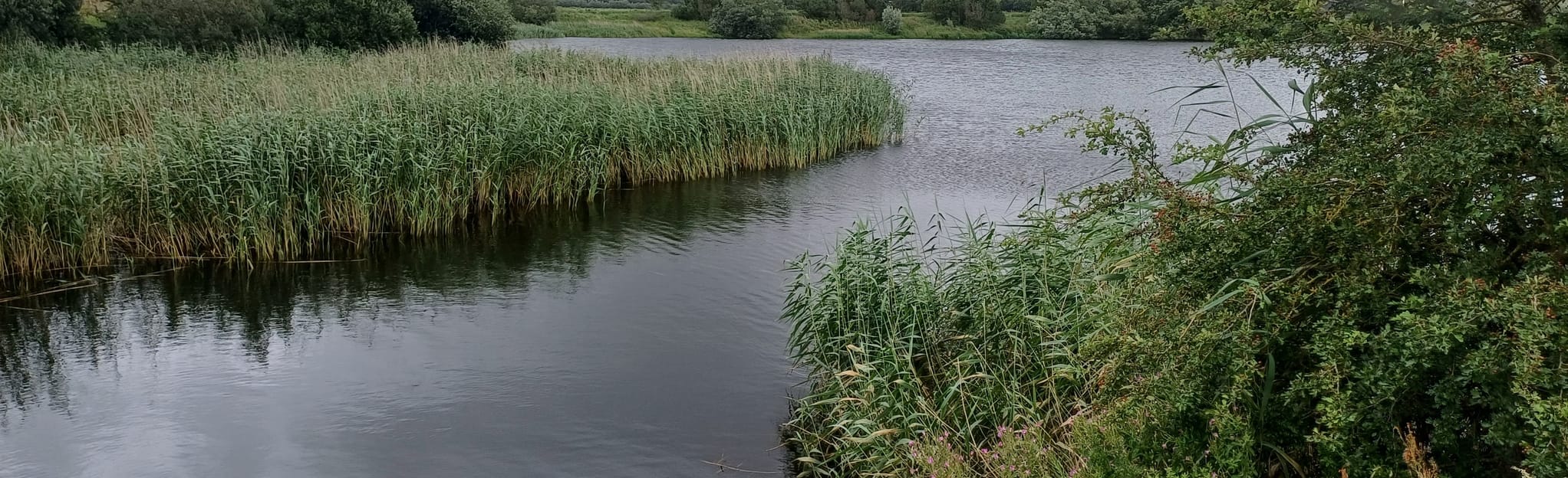 Hedensted Søerne Put and Take, Central Denmark, Denmark - 8 Reviews ...