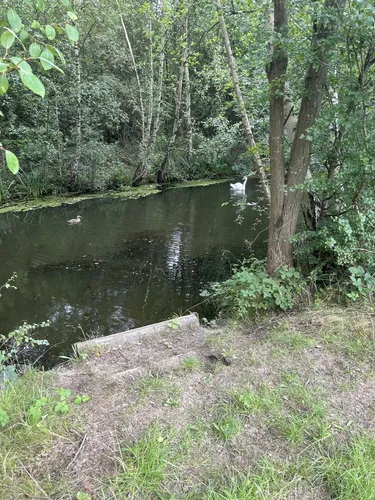 Best Hikes and Trails in Walton Colliery Nature Park | AllTrails