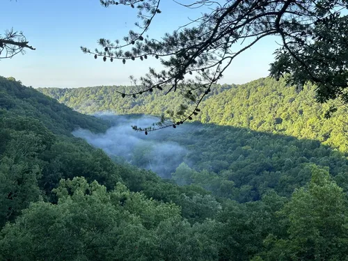 2023 Best Walking Trails in Buzzard's Roost Nature Preserve | AllTrails