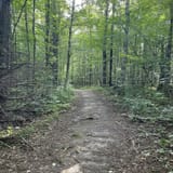Chamberlain-Reynolds Memorial Forest Loop, New Hampshire - 830 Reviews ...