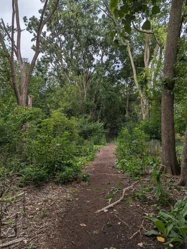 Best Hikes and Trails in Dinosaur Hill Nature Preserve | AllTrails