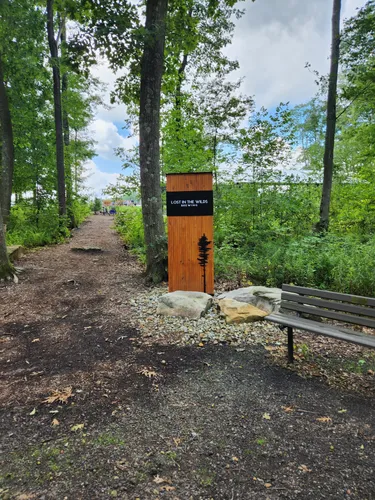 Knox and Kane Rail Trail: Die besten Routen zum Wandern | AllTrails