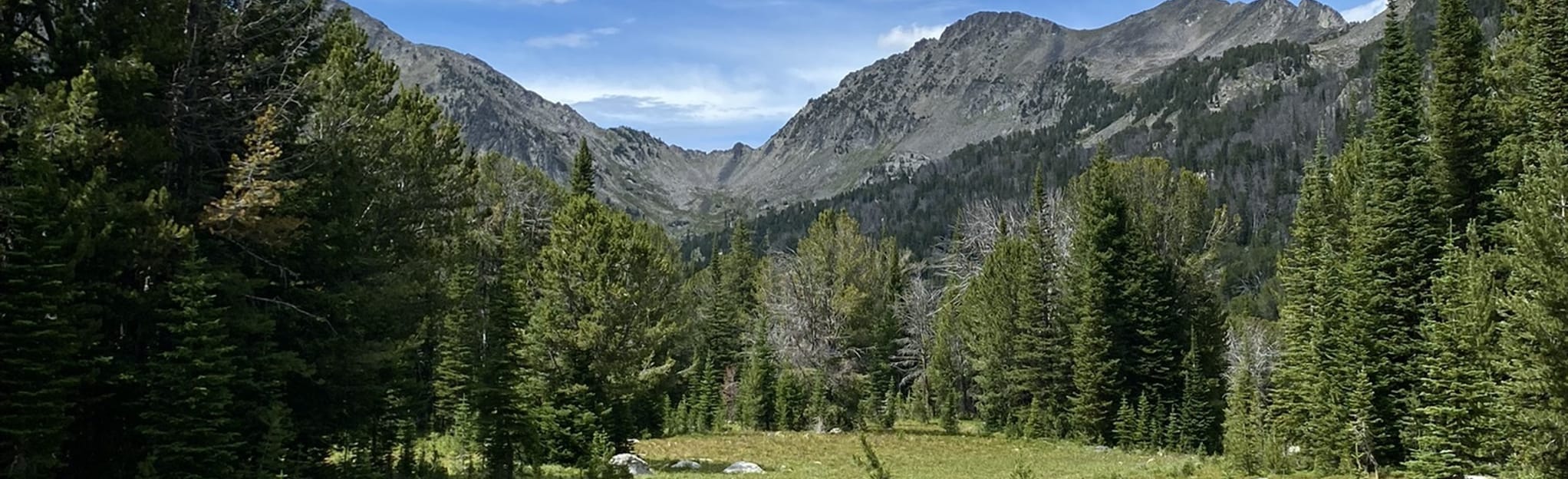Gallatin Peak, Montana - 27 Reviews, Map | AllTrails