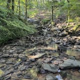 Henderson Park Loop, Georgia - 1,482 Reviews, Map | AllTrails