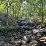 Henderson Park Loop, Georgia - 1,482 Reviews, Map | AllTrails