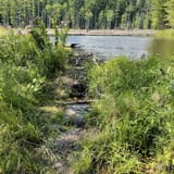 The Flume Fall , New York - 652 Reviews, Map | AllTrails