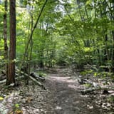 The Flume Fall , New York - 652 Reviews, Map | AllTrails