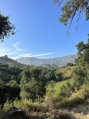10 Best Trails and Hikes in Santa Barbara | AllTrails