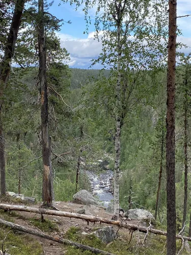 Best Hikes and Trails in Muddus National Park | AllTrails