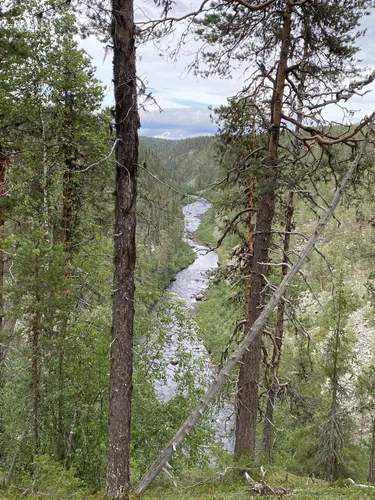 Best Hikes and Trails in Muddus National Park | AllTrails