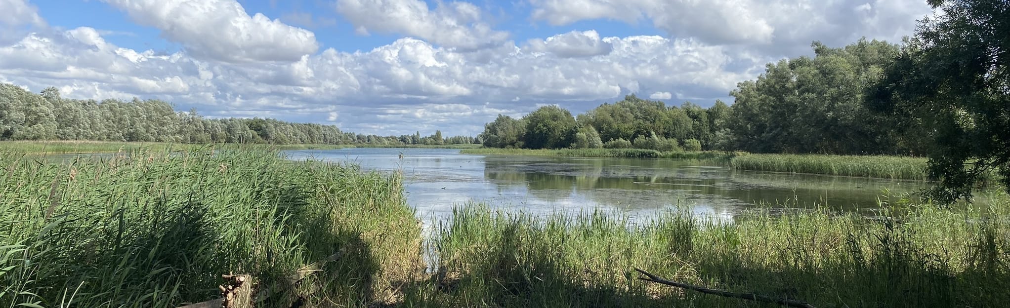 Swavesey Lake, Drayton Lagoon and Elney Lake Circular, Cambridgeshire ...