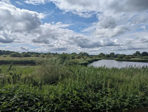 10 Best Walking Trails in Norwich | AllTrails