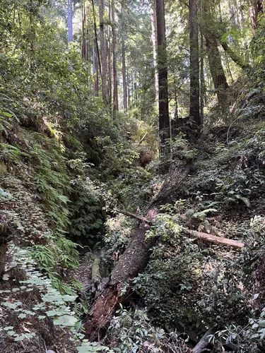 2023 Best Trails near Five Finger Falls | AllTrails