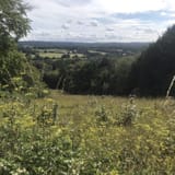 Gomshall Mill and Netley Park Circular, Surrey, England - 219 Reviews ...