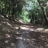 Gomshall Mill and Netley Park Circular, Surrey, England - 219 Reviews ...