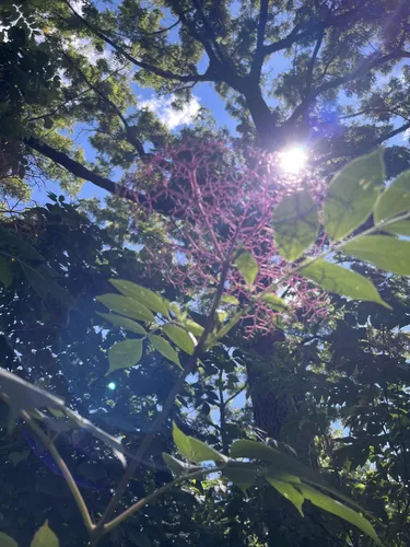 Best Hikes and Trails in George Lorimer Preserve | AllTrails